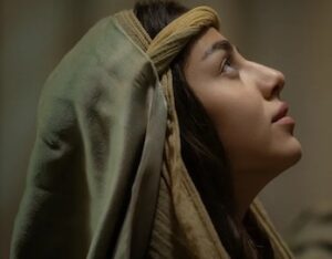 Netflix movie on Virgin Mary - Christ & Co